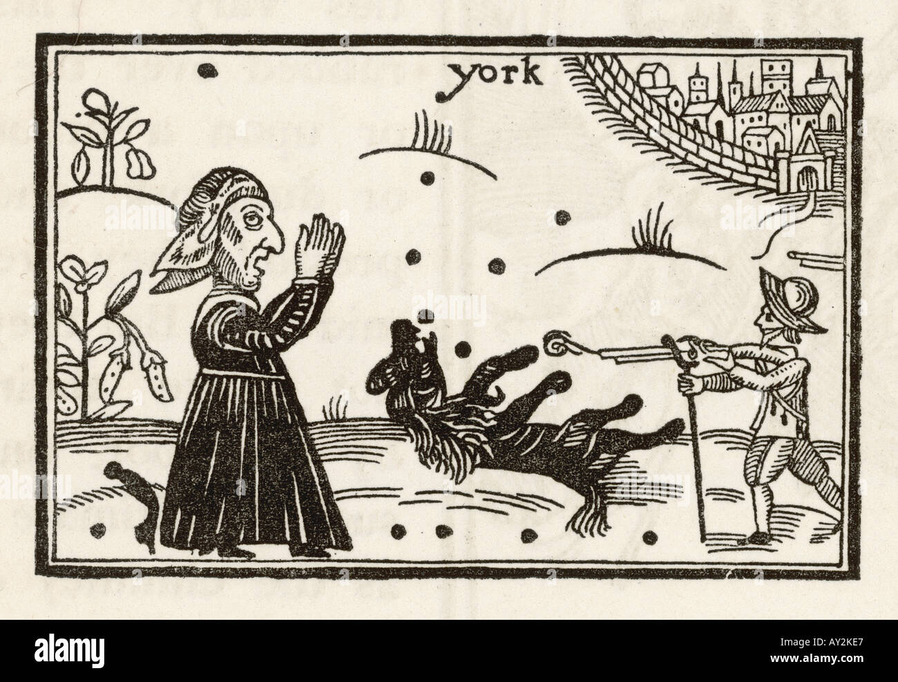 Witchs familiar hi-res stock photography and images - Alamy