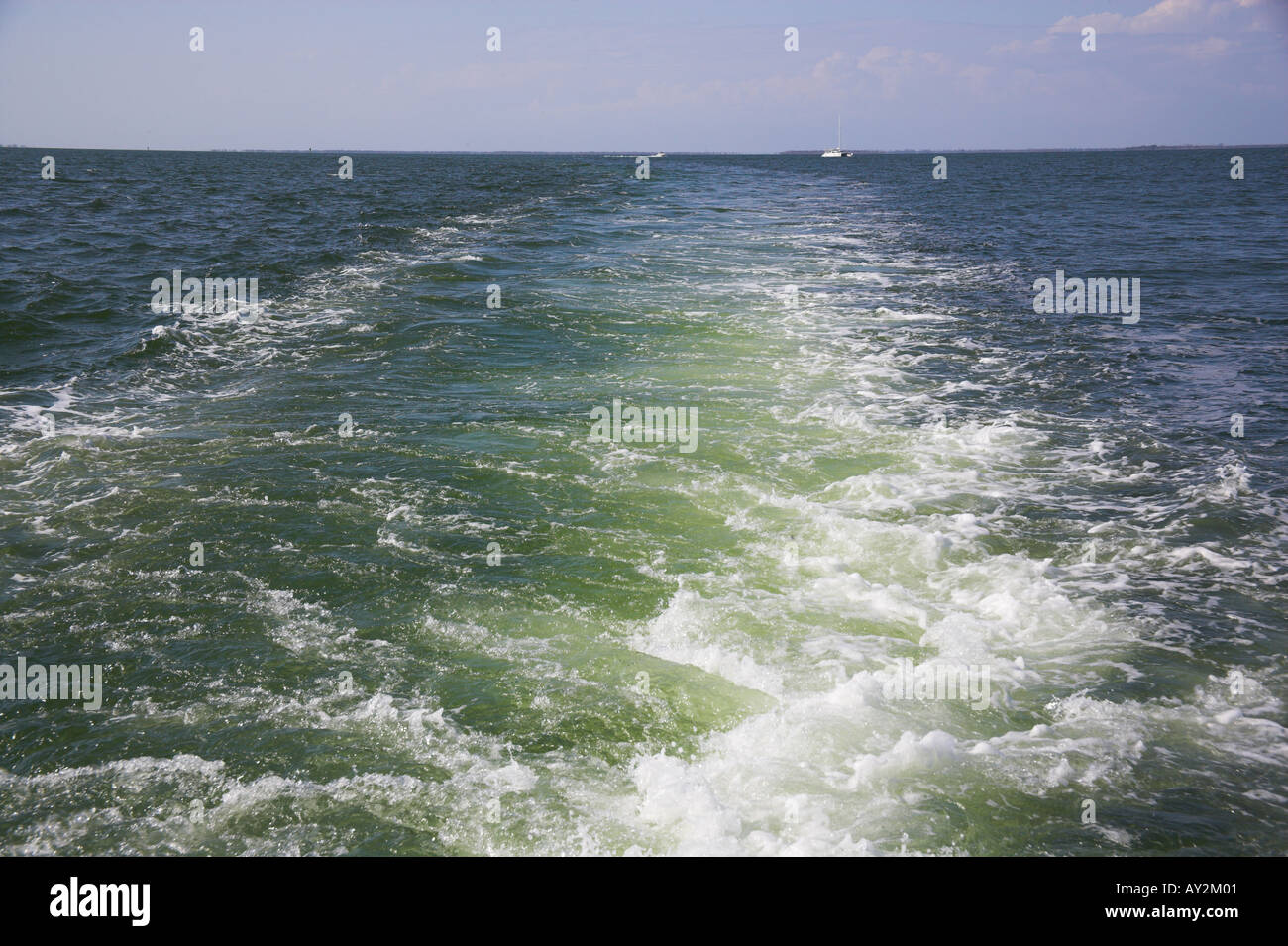 Boat sea wake Gulf of Mexico Florida Stock Photo - Alamy