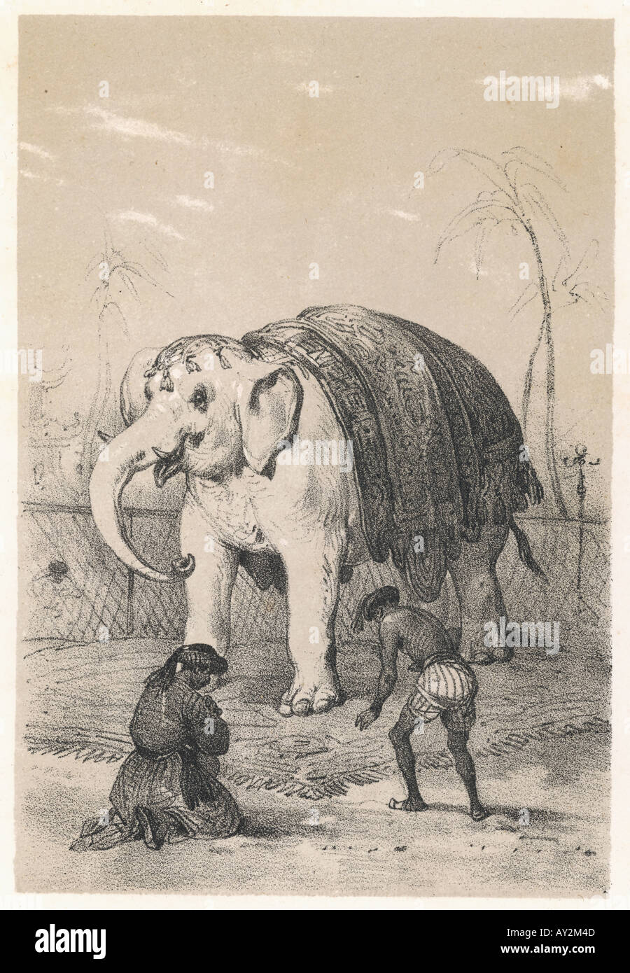 White Elephant Siam High Resolution Stock Photography and Images - Alamy