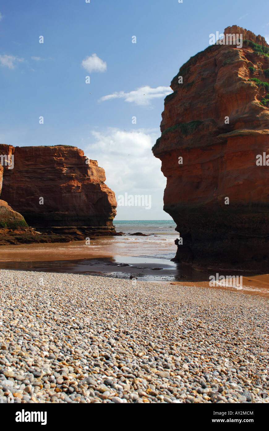 Rock stacks at Ladram Bay East Devon Stock Photo - Alamy