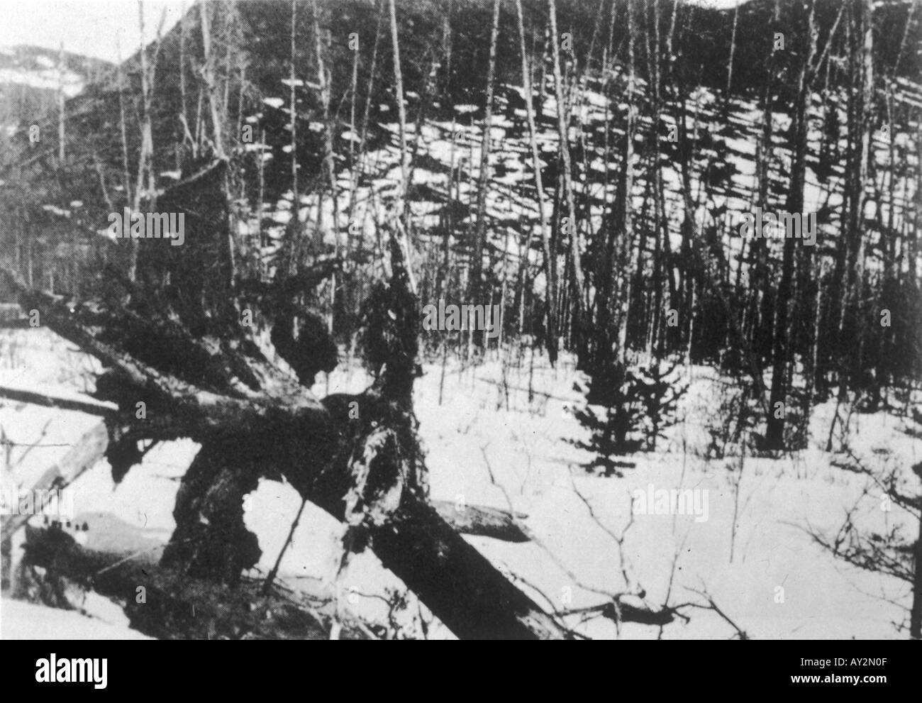 Tunguska hi-res stock photography and images - Alamy