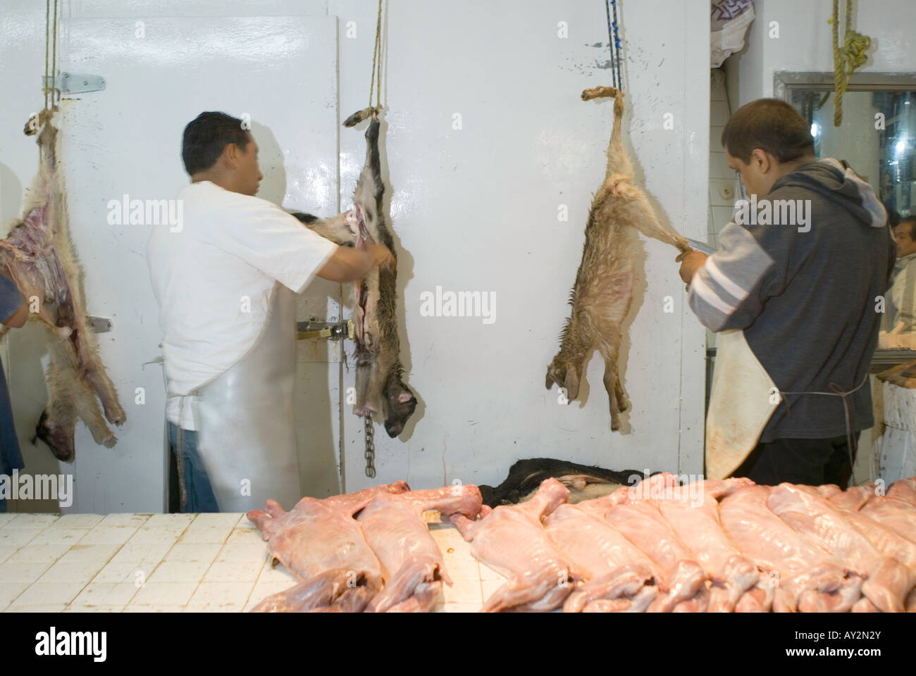 Skinning and sectioning baby goat, cabrito, at the San Jan market in ...