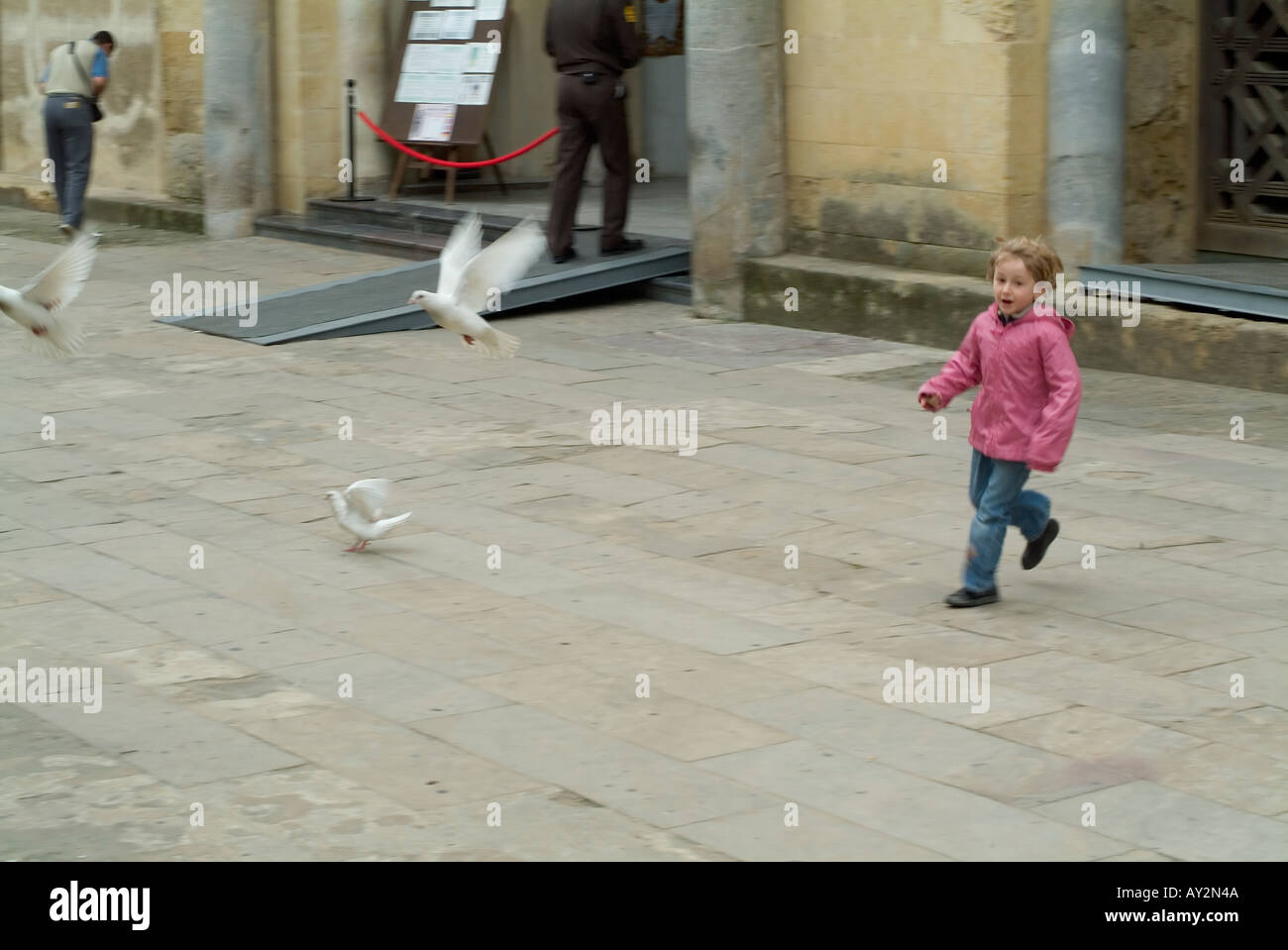 Child Running After Birds High Resolution Stock Photography and Images ...