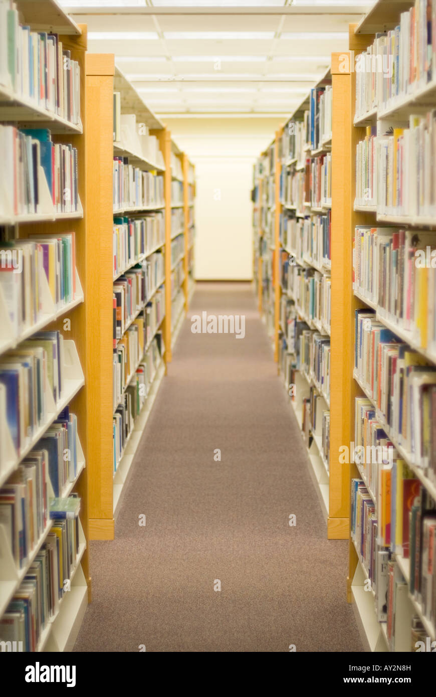 book stacks in a library Stock Photo - Alamy