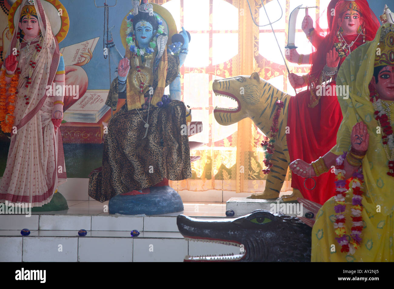 Suriname Rivier High Resolution Stock Photography and Images - Alamy