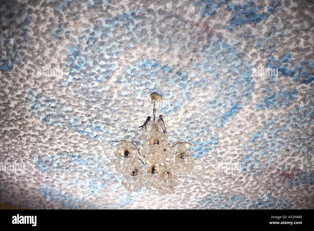 Suriname Rivier High Resolution Stock Photography and Images - Alamy