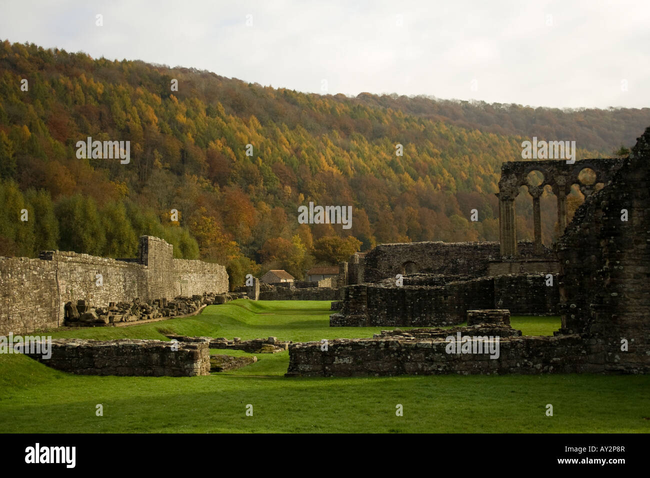 Tintern Abbey Autumn Stock Photos & Tintern Abbey Autumn Stock Images ...
