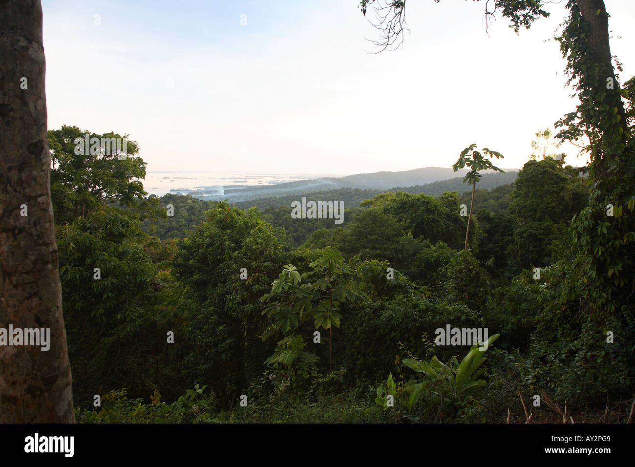 Brownsberg national park suriname hi-res stock photography and images ...