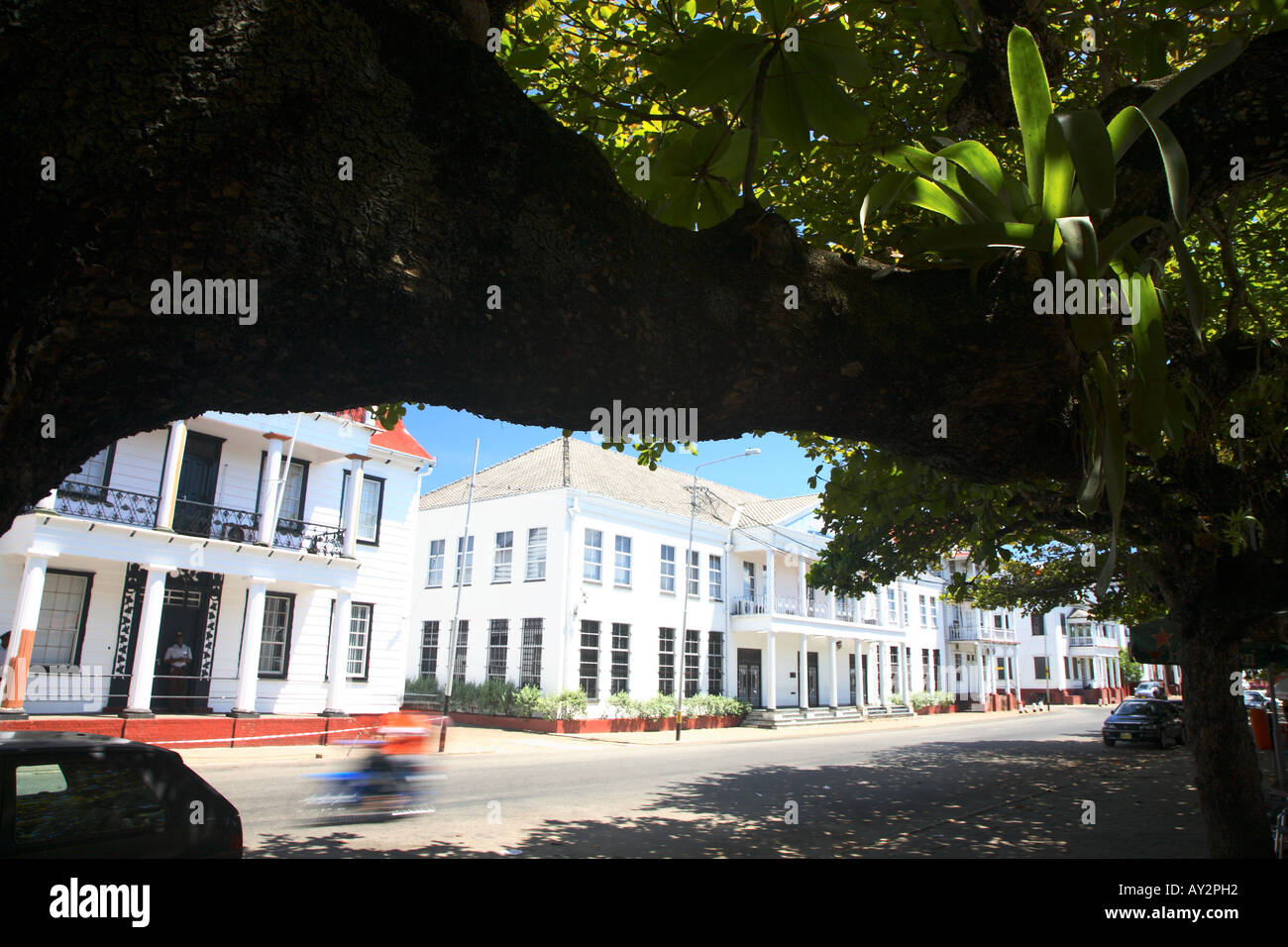 Travel photography from South America Surinam Suriname World heritage ...