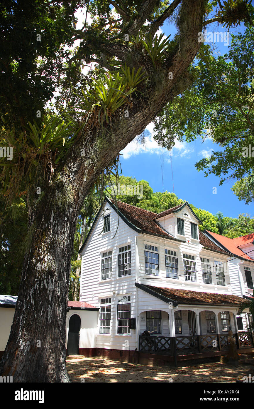 Travel photography from South America Surinam Suriname World heritage ...