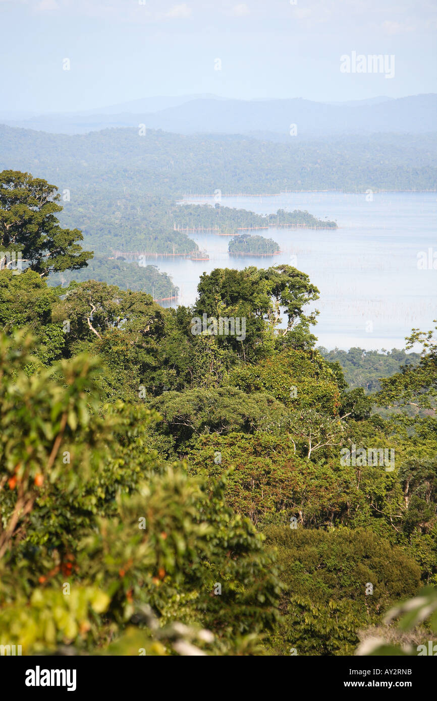 Brownsberg national park suriname hi-res stock photography and images ...