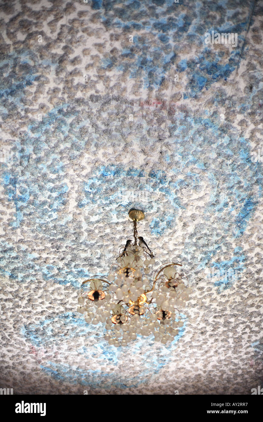 Suriname Rivier High Resolution Stock Photography and Images - Alamy