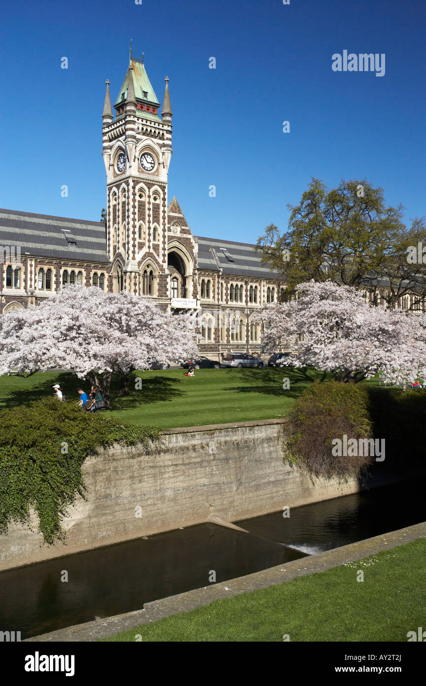 Clock Tower Historical Registry Building Spring Blossom and Leith ...