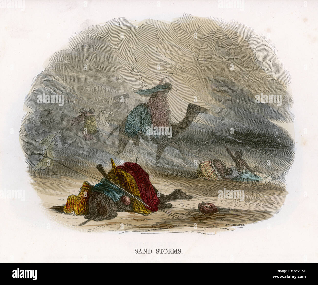 Camel desert sandstorm hi-res stock photography and images - Alamy