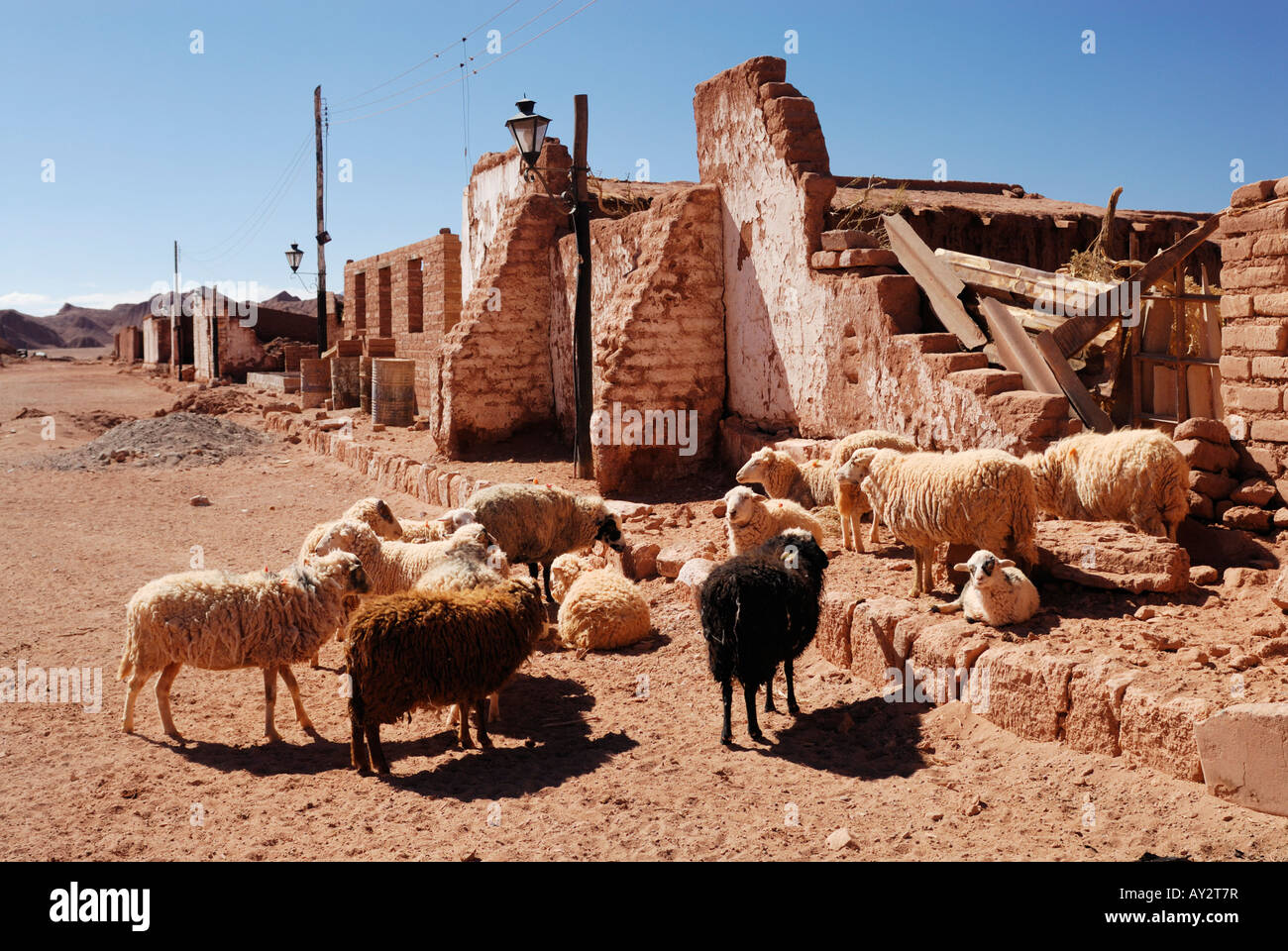 Tolar Grande, High Andean Puna, Department of Los Andes, Province of ...