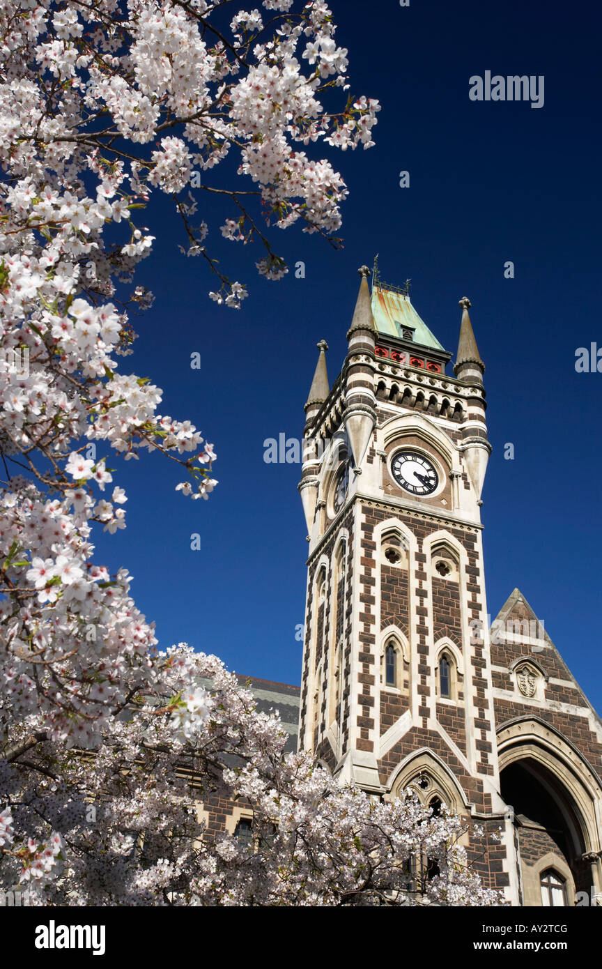Otago university buildings hi-res stock photography and images - Alamy