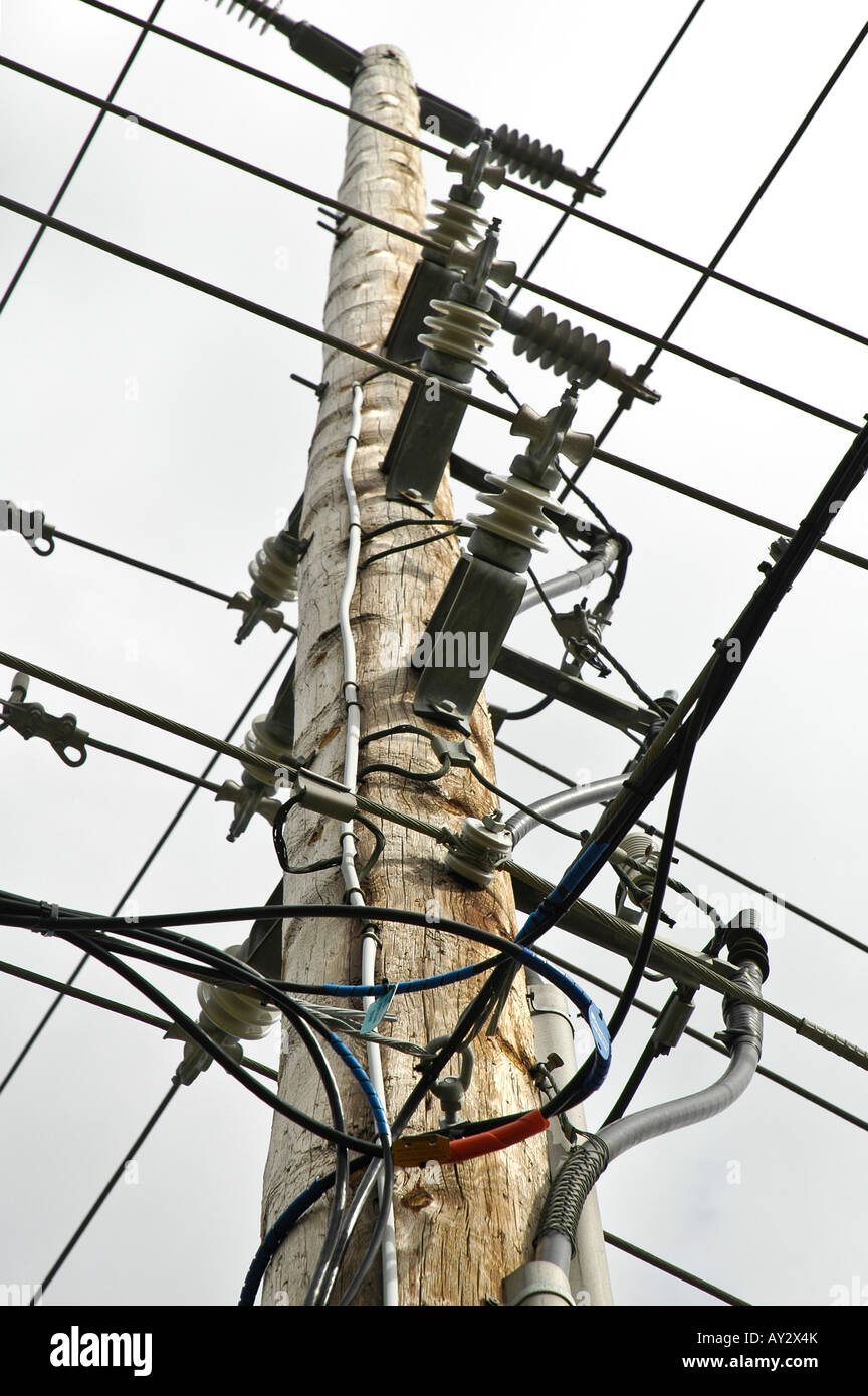A number of wires converge on a single telephone pole Stock Photo - Alamy