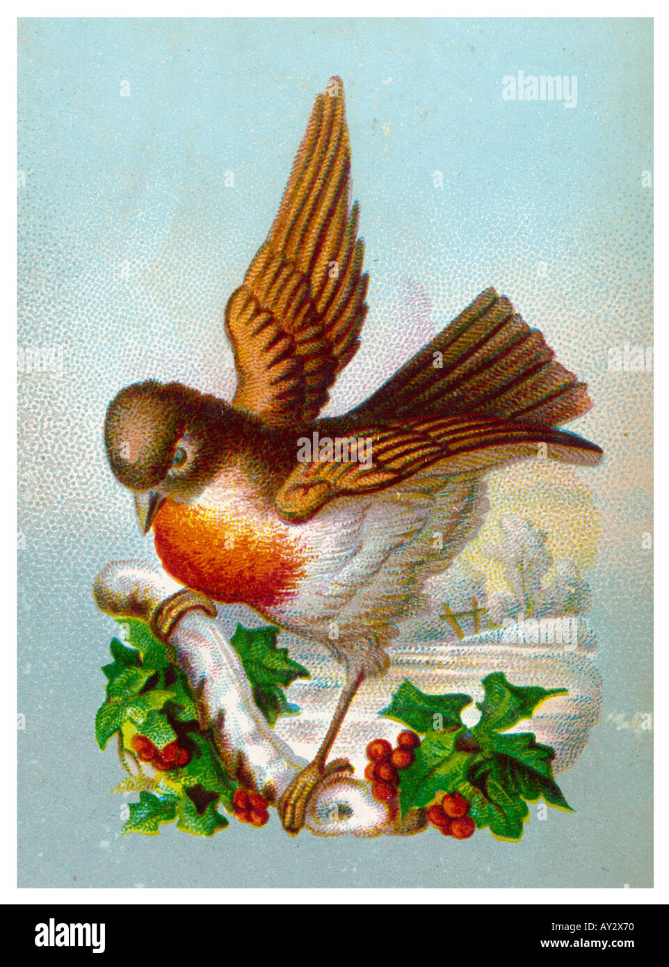 Robin winter scene hi-res stock photography and images - Alamy