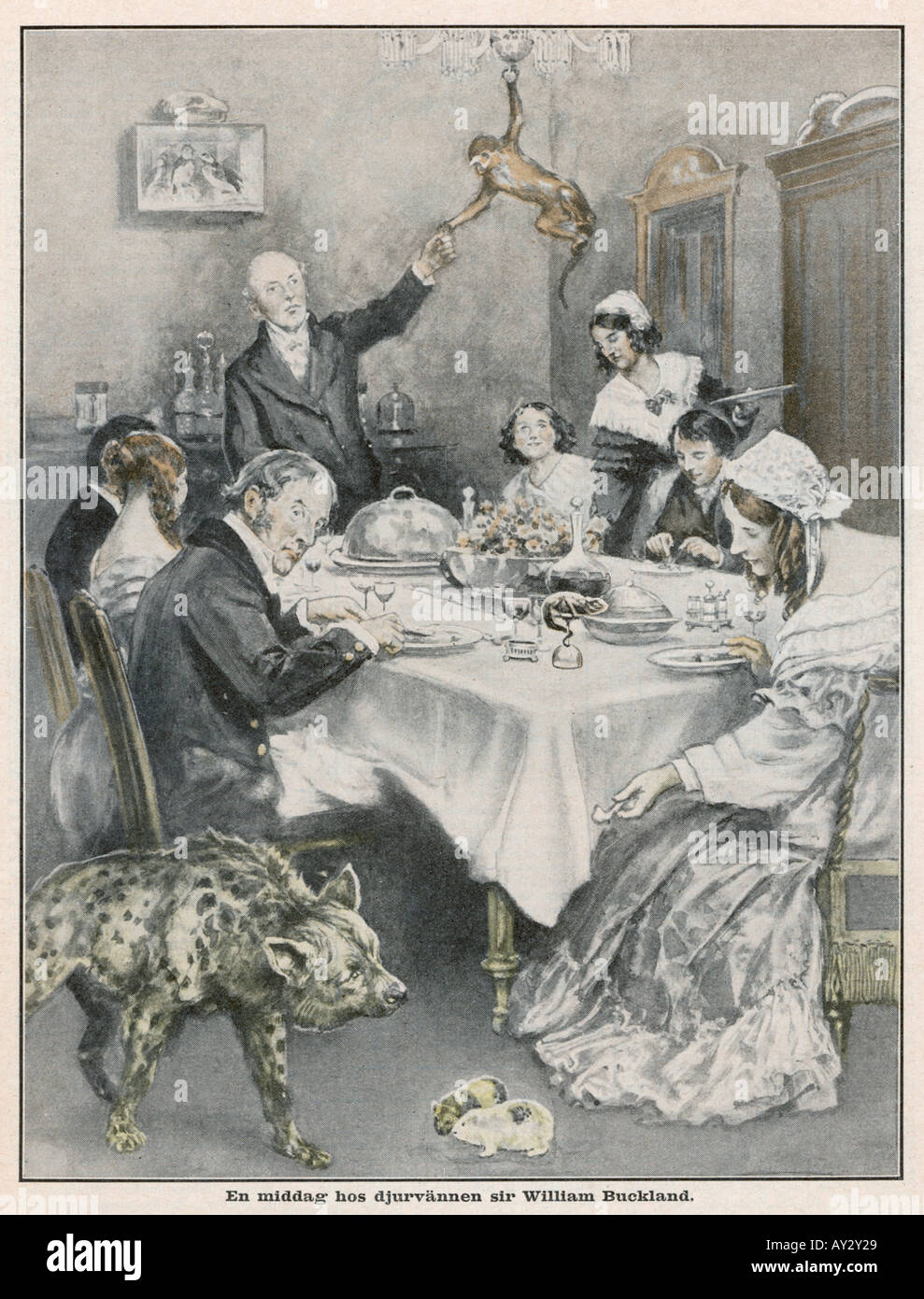 William buckland hi-res stock photography and images - Alamy