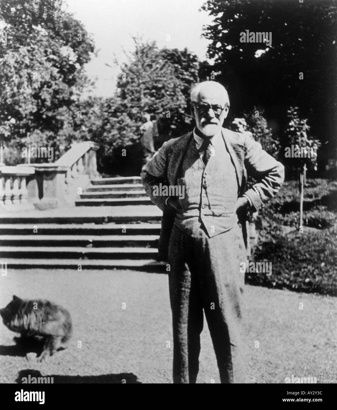 Sigmund freud 1856 1939 austrian neurologist founder of psychoanalysis ...