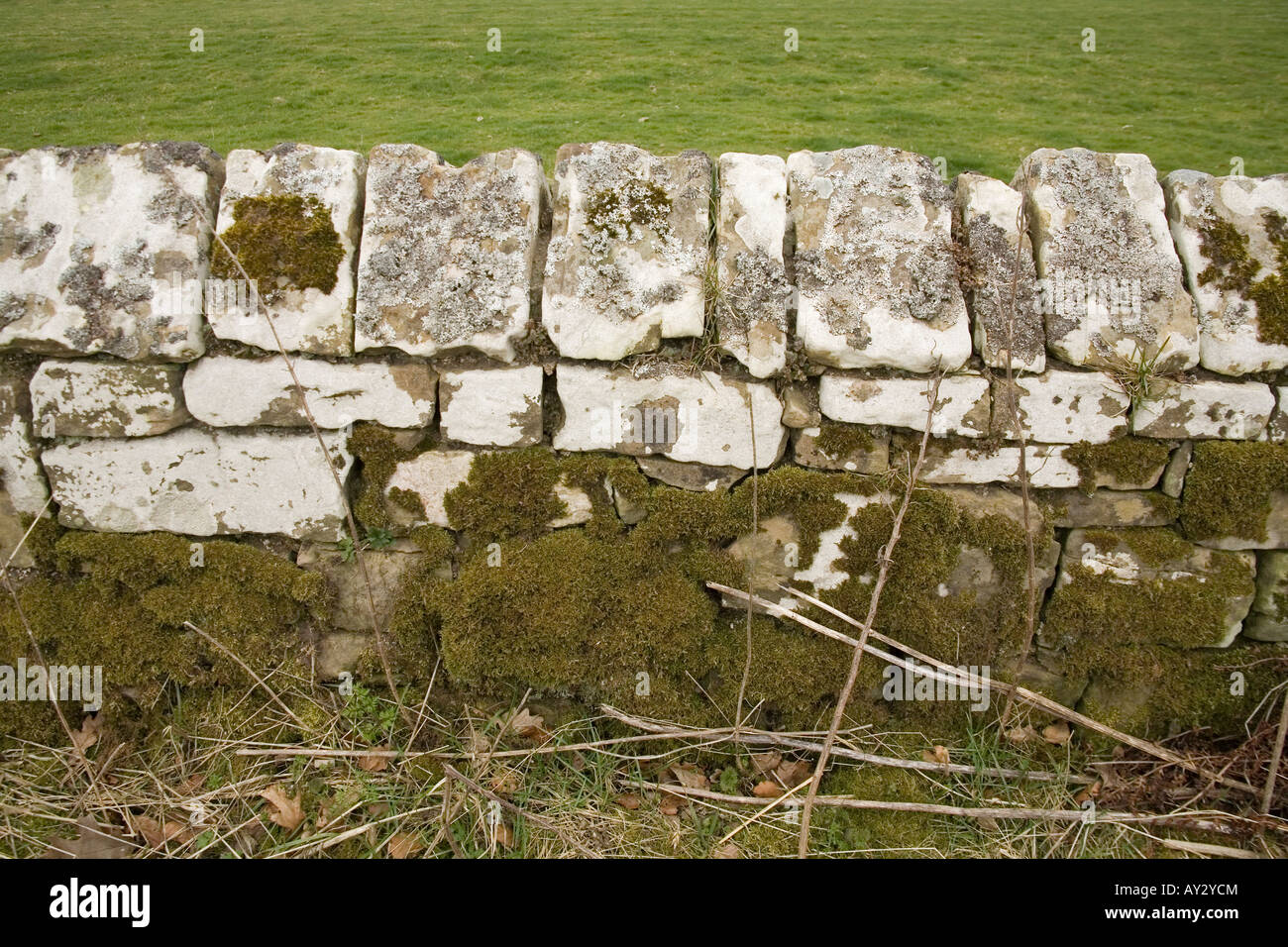 Traditional dry stone wall Northumberland England Stock Photo - Alamy