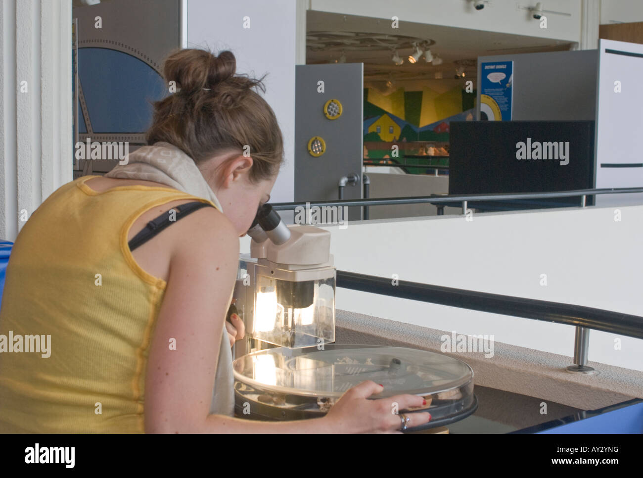 Female college student looking through a microscope in an exhibit in a ...