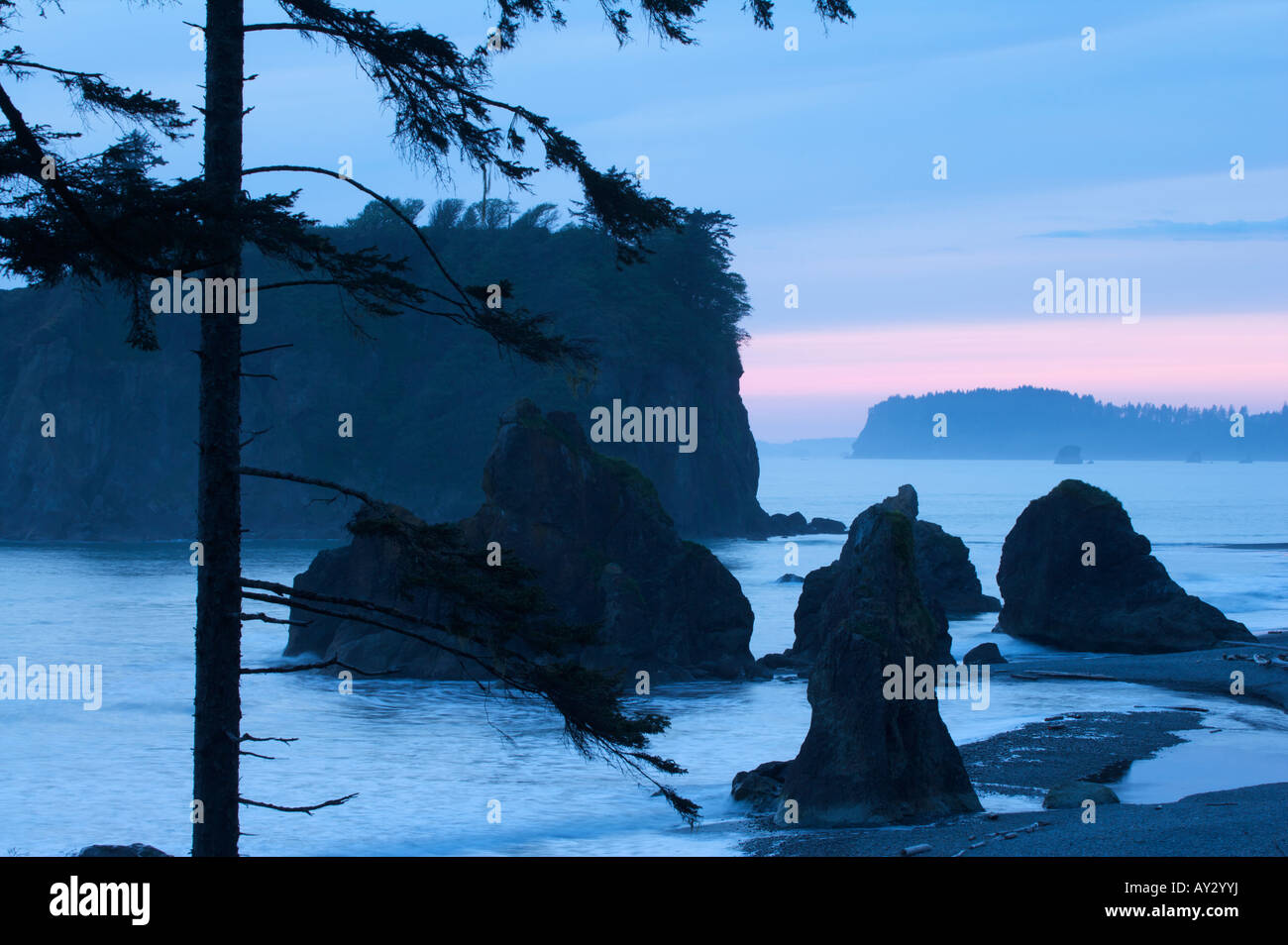 Sea stacks at sunset on Ruby Beach Northwest Coast of Washington Stock ...