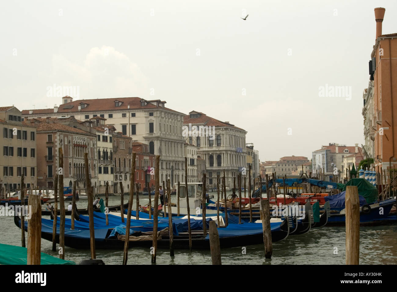 Canal Grande, Venice, Italy Stock Photo - Alamy