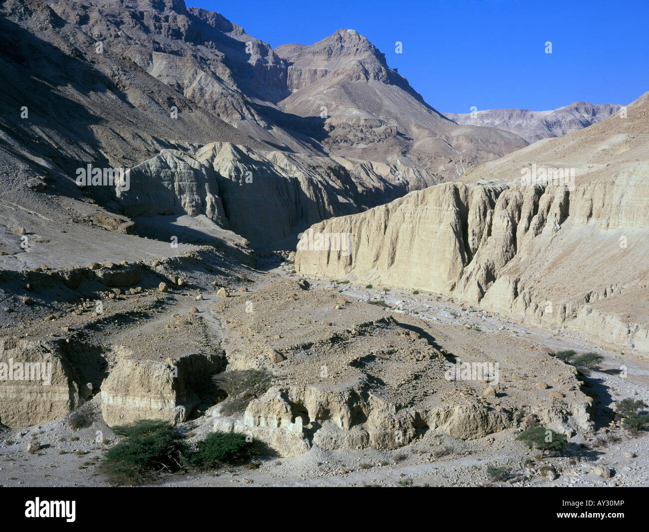 Desert Desert of Judea Wadi Zeelim Stock Photo - Alamy