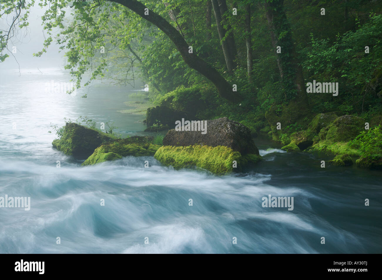 Water flowing from underground spring in early morning with fog rising ...