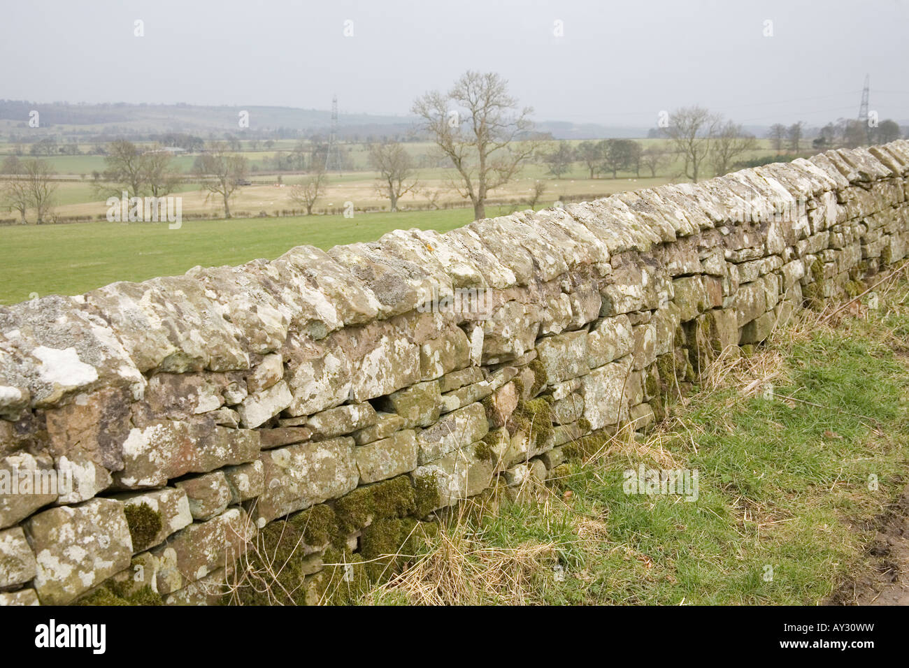 Traditional dry stone wall Northumberland England Stock Photo - Alamy