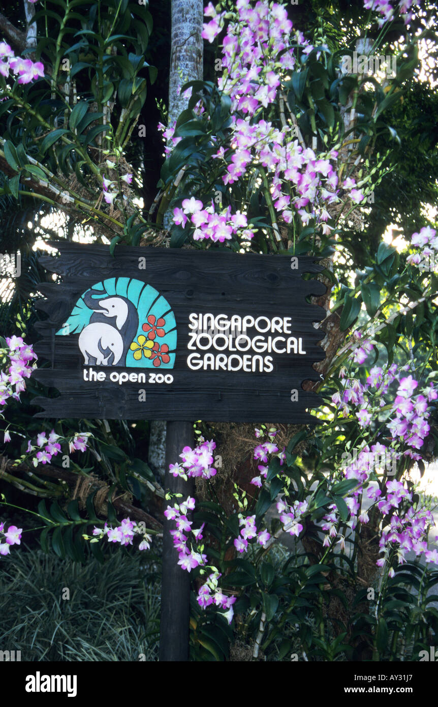 Singapore Zoo sign surrounded by orchids Stock Photo - Alamy