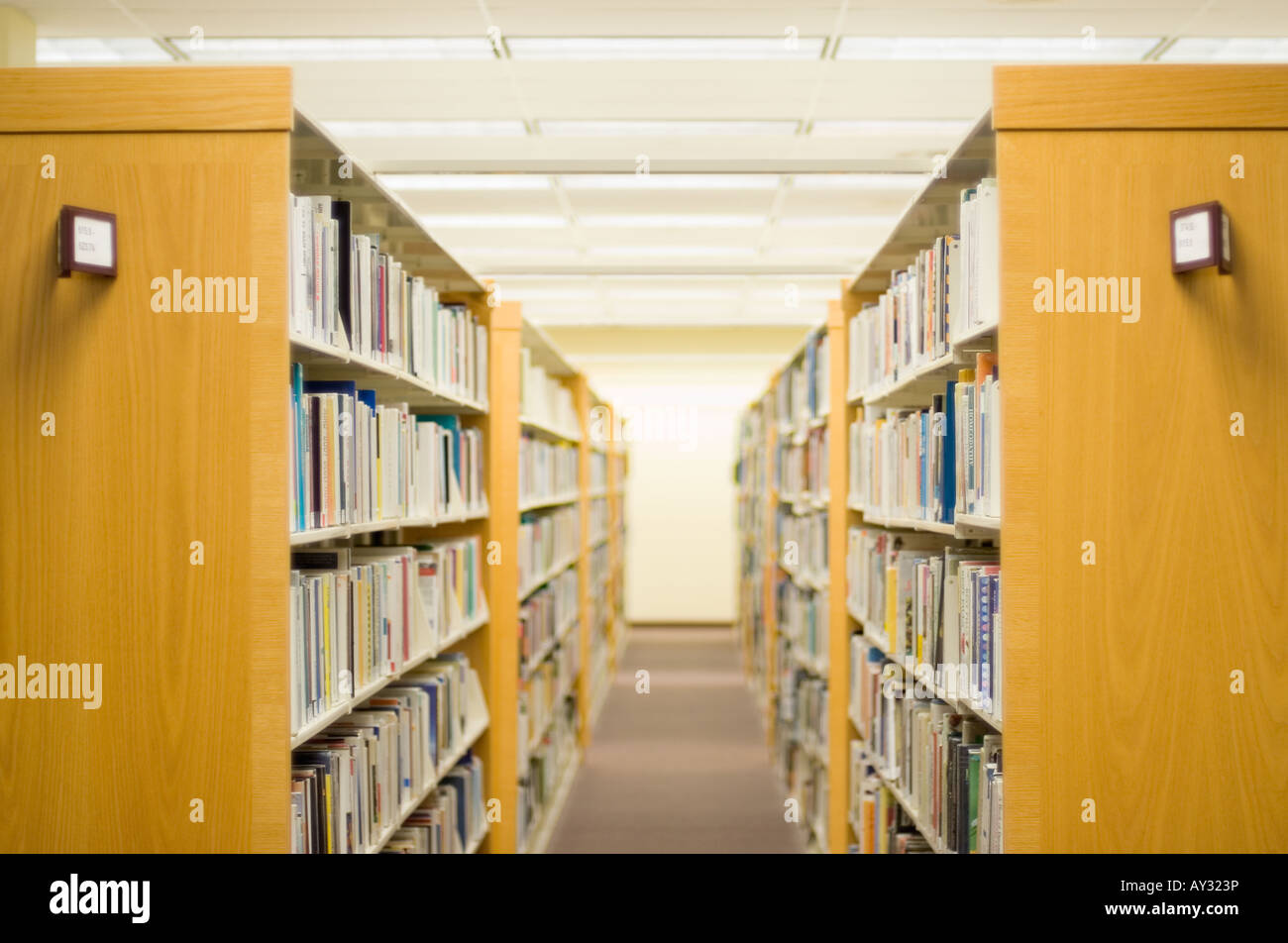 book stacks in a library Stock Photo - Alamy
