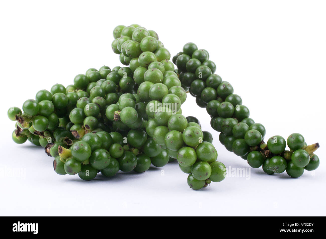 Pfeffer korner Cut Out Stock Images & Pictures - Alamy