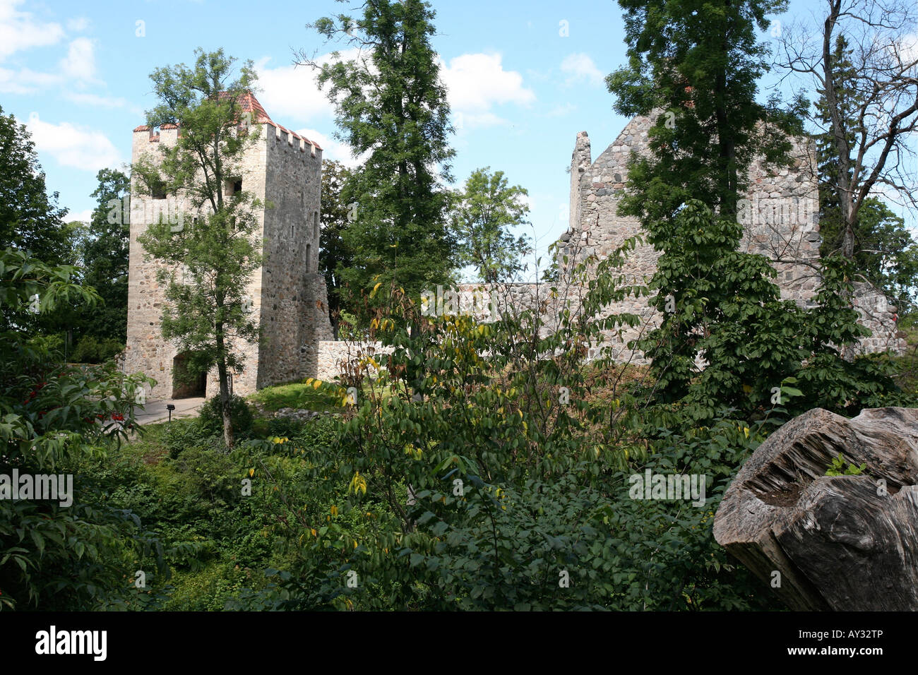 White stone castle hidden behind large trees with stump in foreground ...