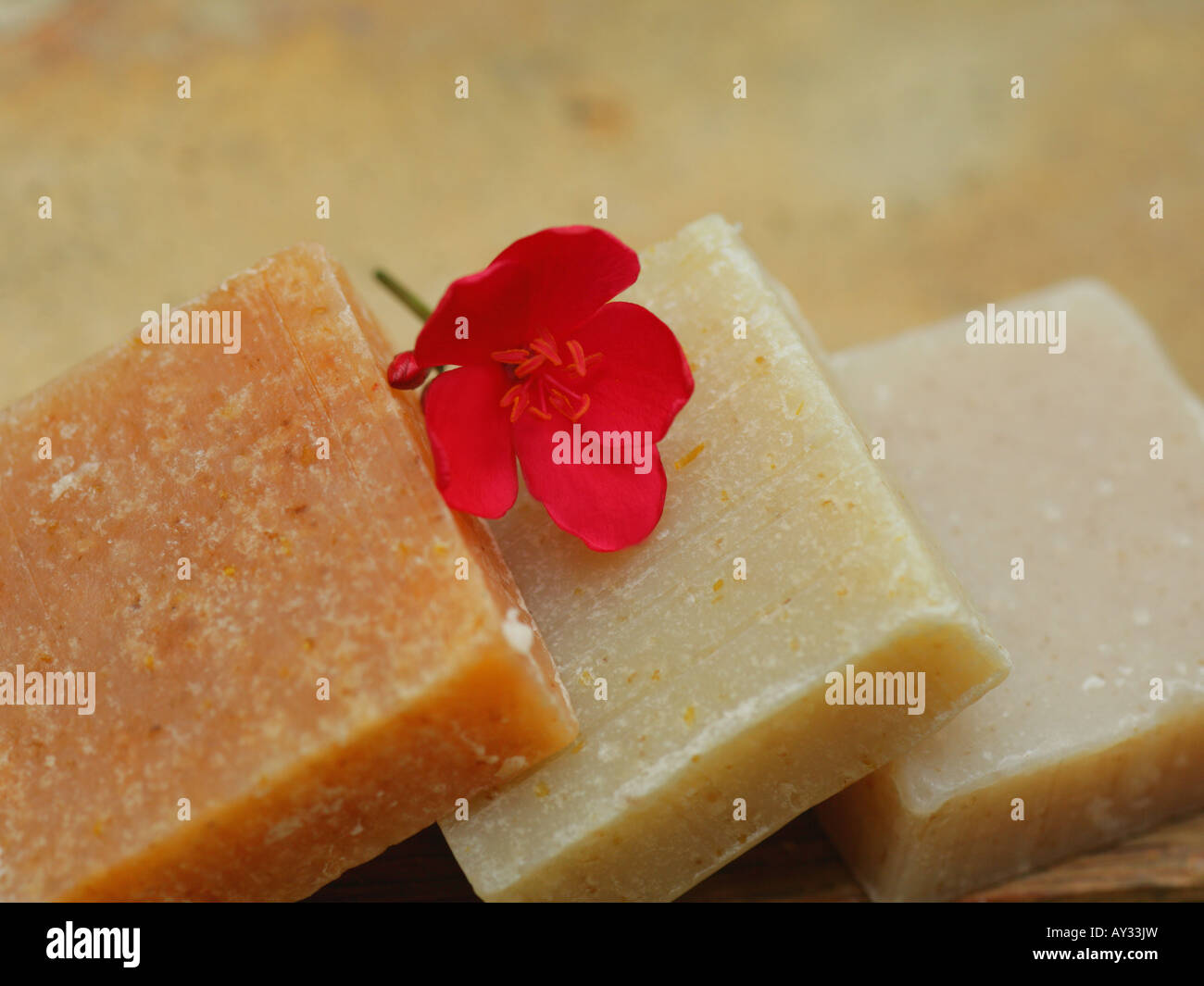 Close-up of sweets with one flower Stock Photo - Alamy