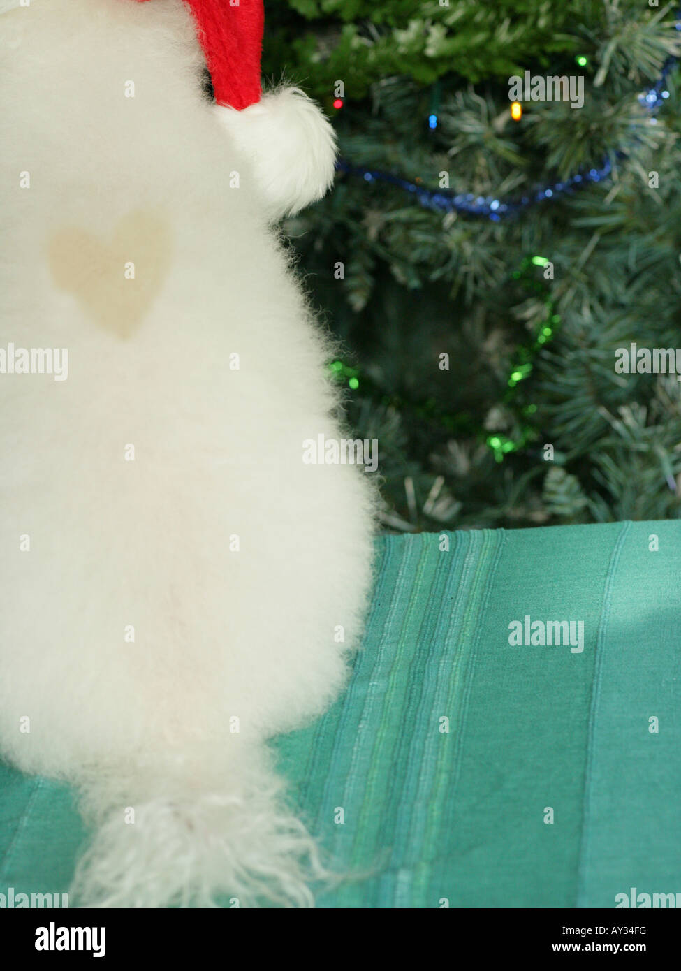 Cute baby animals christmas tree hi-res stock photography and images ...