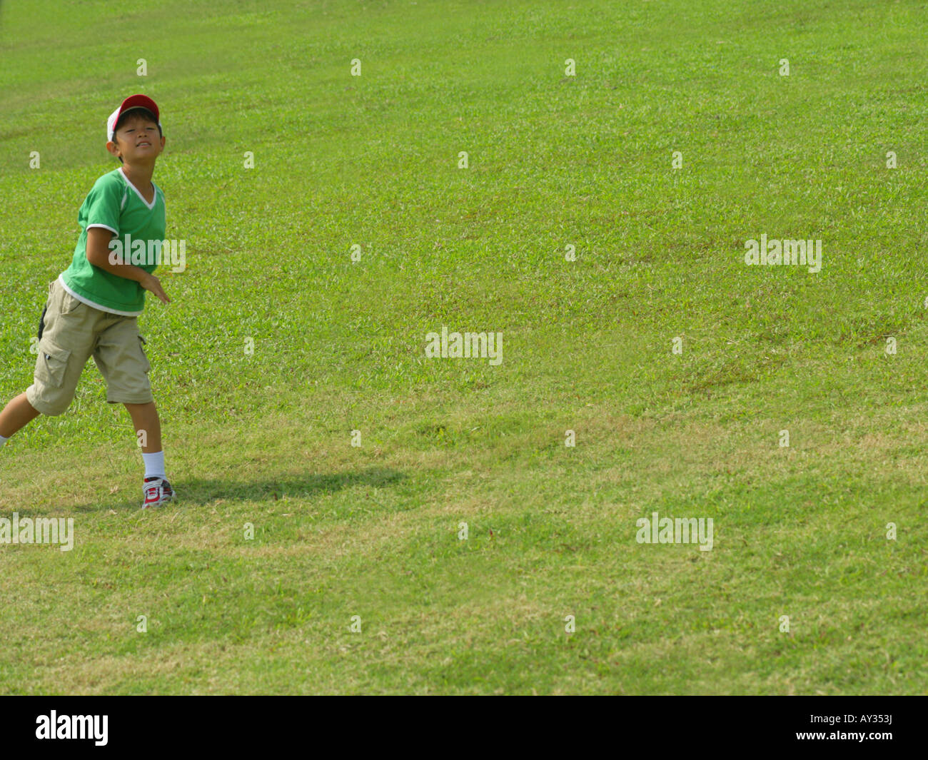 Boy playing catch in a field Stock Photo - Alamy
