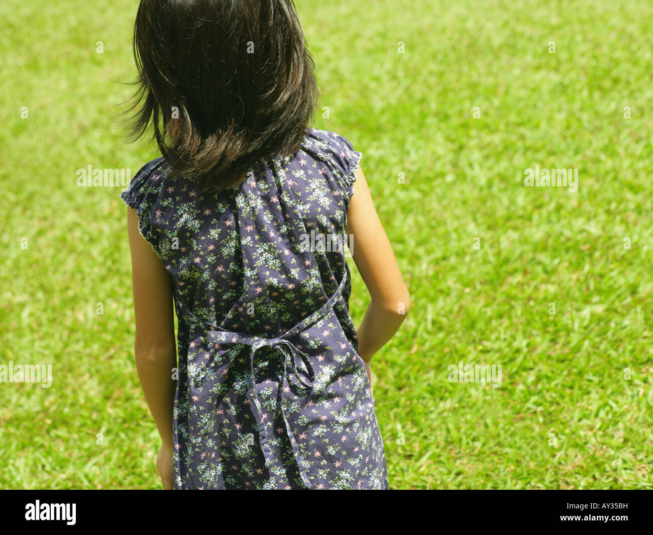 Rear view of a girl standing on the lawn Stock Photo - Alamy