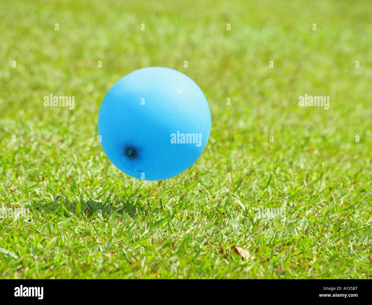 Close-up of a balloon on a lawn Stock Photo - Alamy