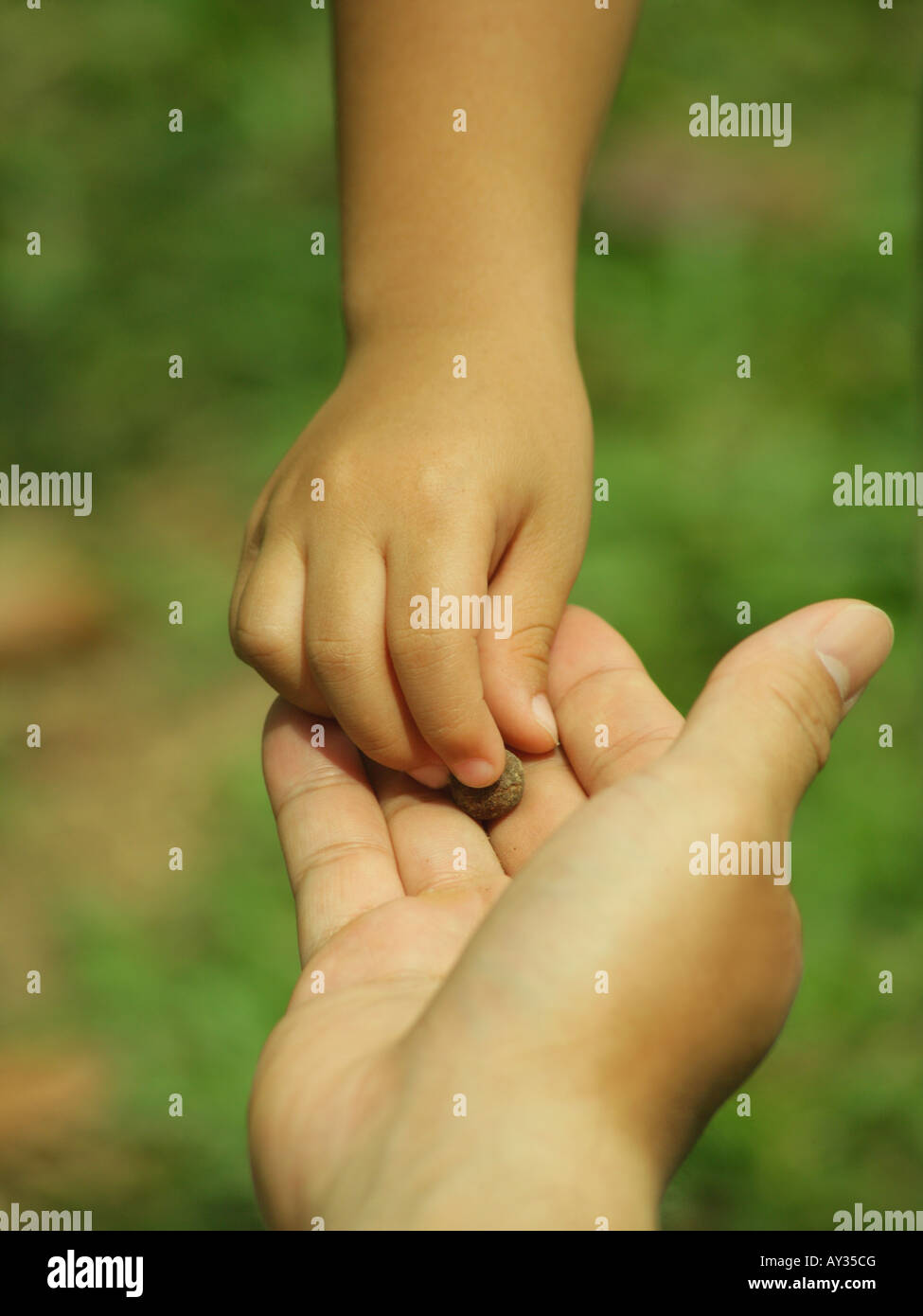Close-up of a child's hand picking an object from a person's hand Stock ...