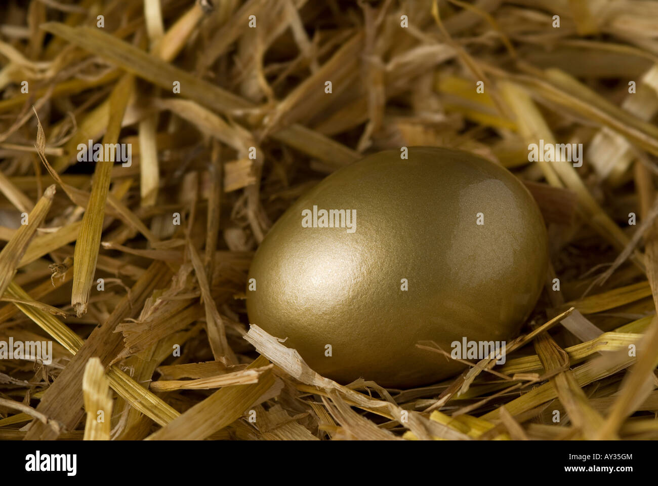 Golden egg creation hi-res stock photography and images - Alamy