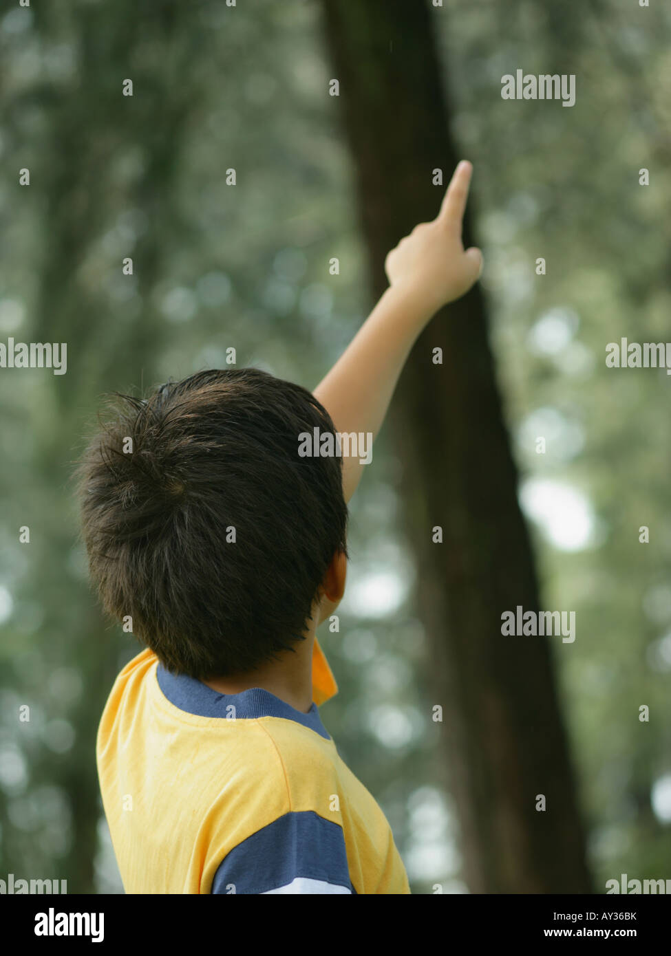 Side profile of a boy pointing upwards Stock Photo - Alamy
