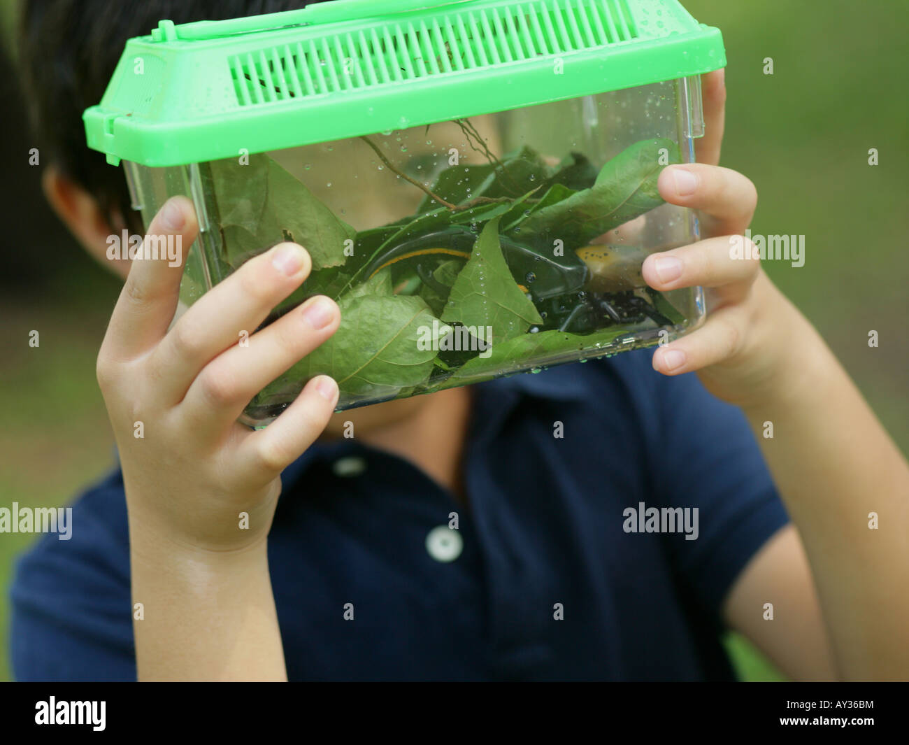 Cage insect boy hi-res stock photography and images - Alamy