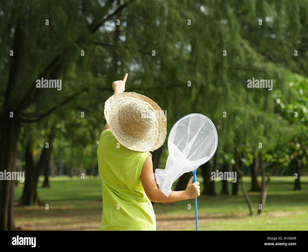 Child pointing butterfly hi-res stock photography and images - Alamy