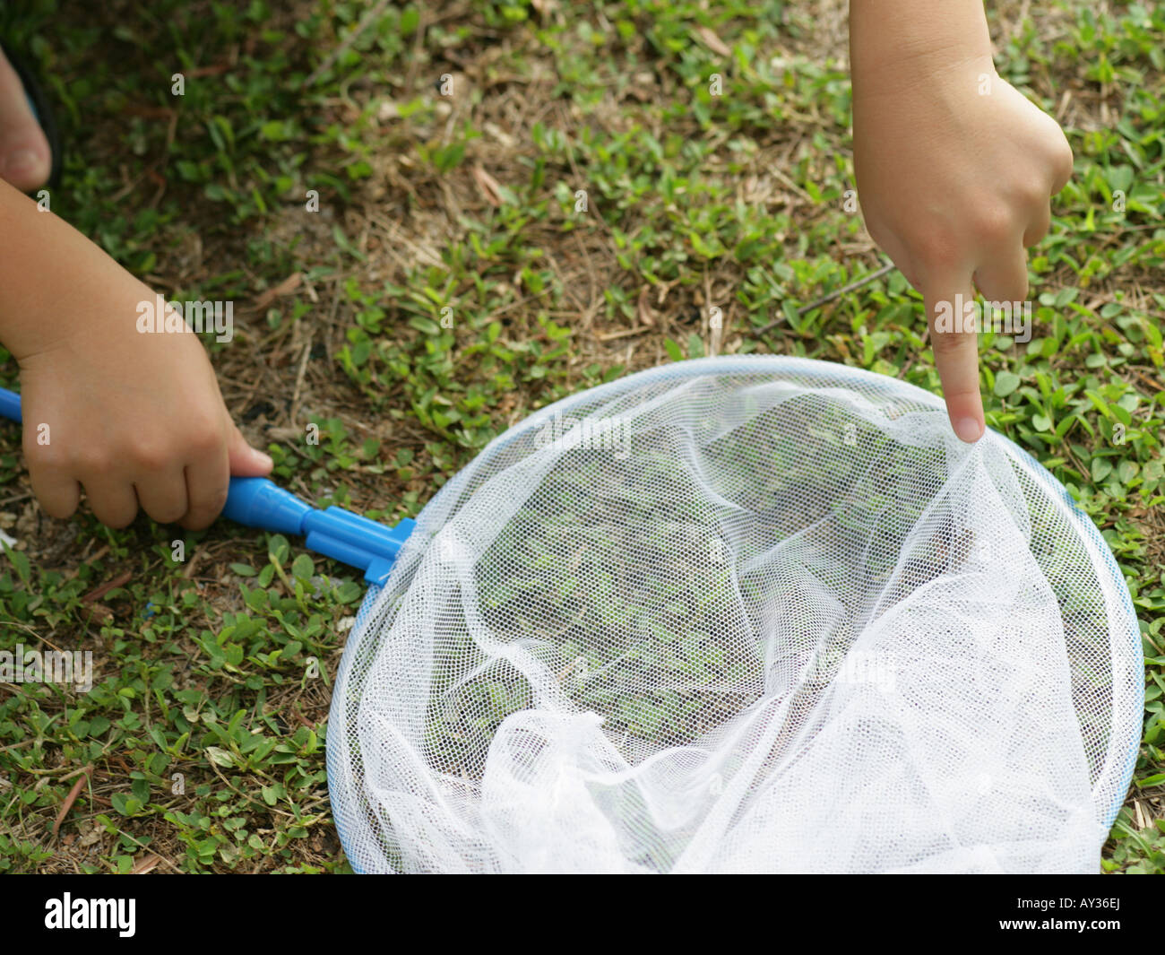 Close-up of a boy's hand pointing towards a butterfly net Stock Photo ...