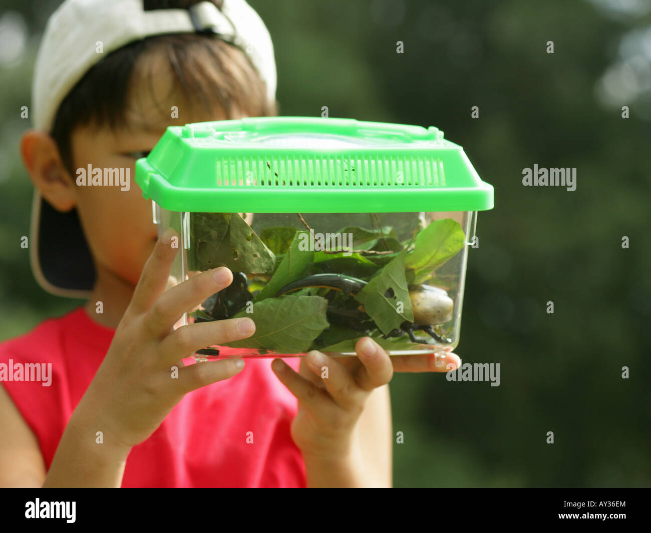 Cage insect boy hi-res stock photography and images - Alamy