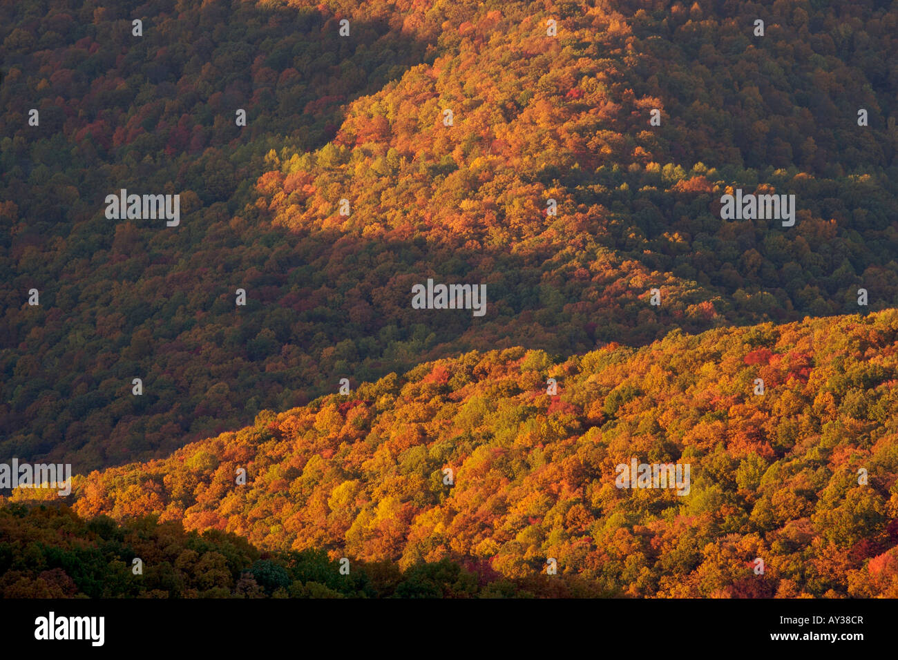 Abstract patterns of light and shadows on the mountainside covered with ...