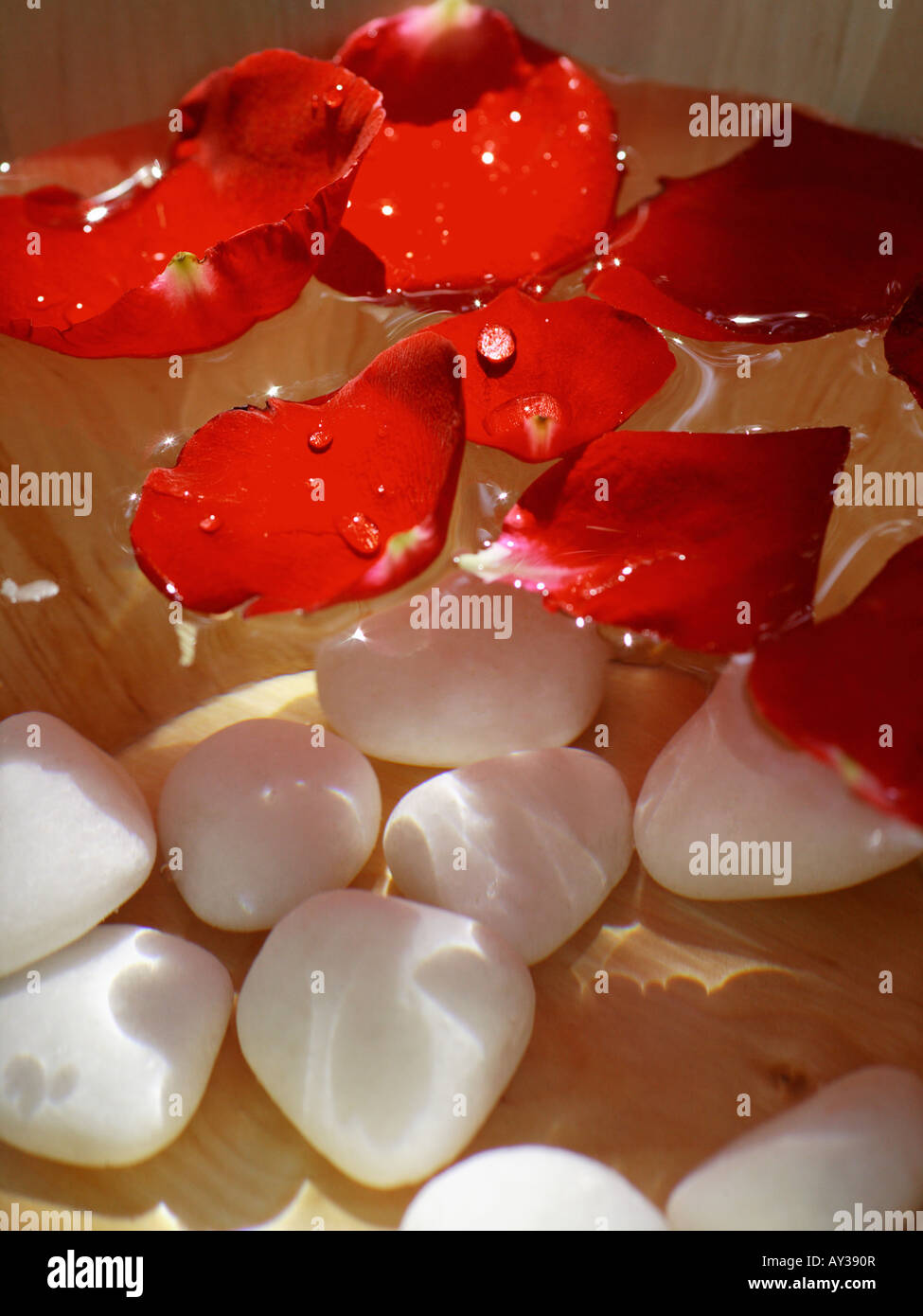 Close-up of rose petals floating in a bowl Stock Photo - Alamy