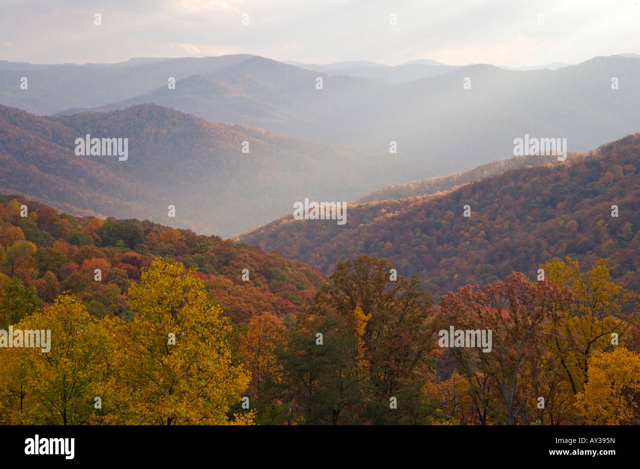 Mountainside covered with trees in fall foliage and illuminated by the ...
